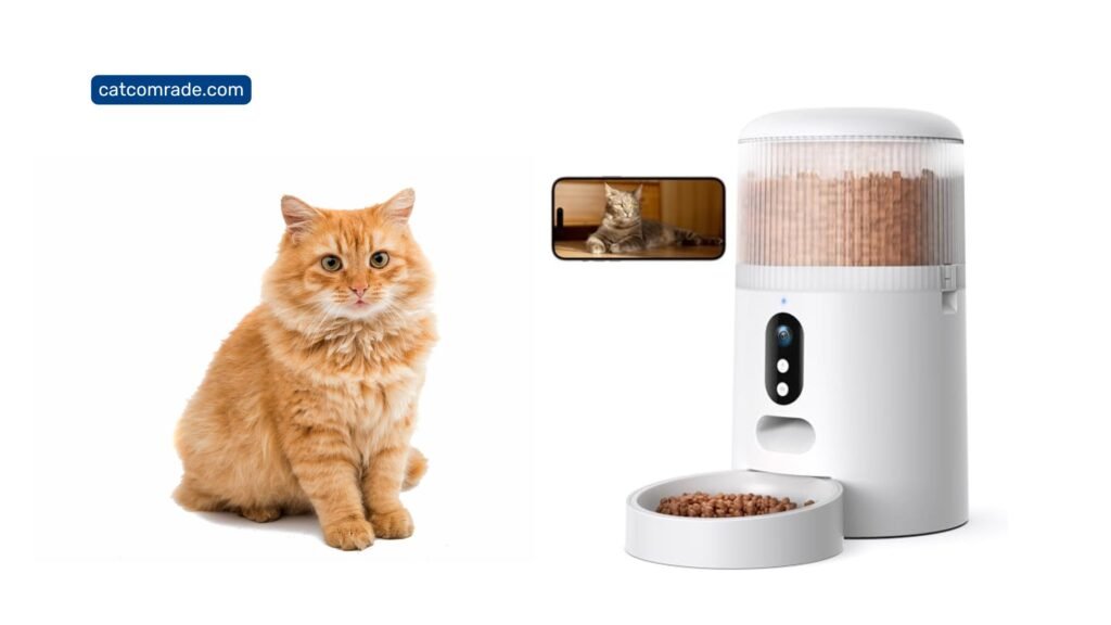 Faroro Pet Feeder Review: Smart Feeder With HD Camera & Voice